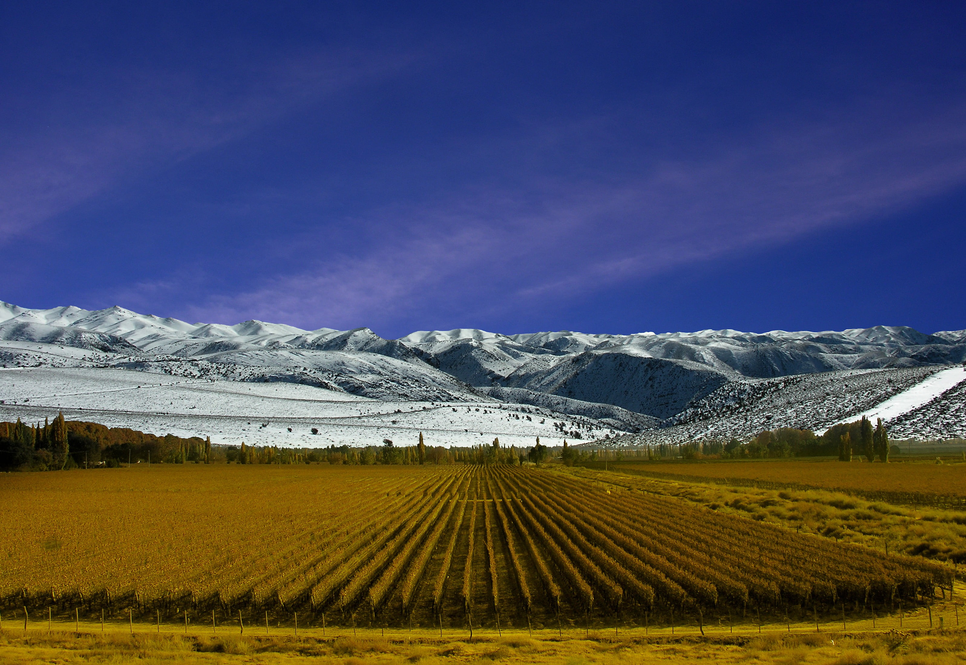 Región Cuyo - Argentour