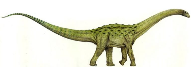 Prehistoria Argentina - Argentour